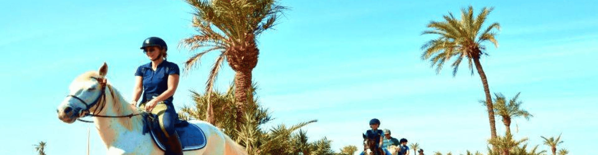 Balade Cheval Marrakech : Meilleurs Circuits Équestres